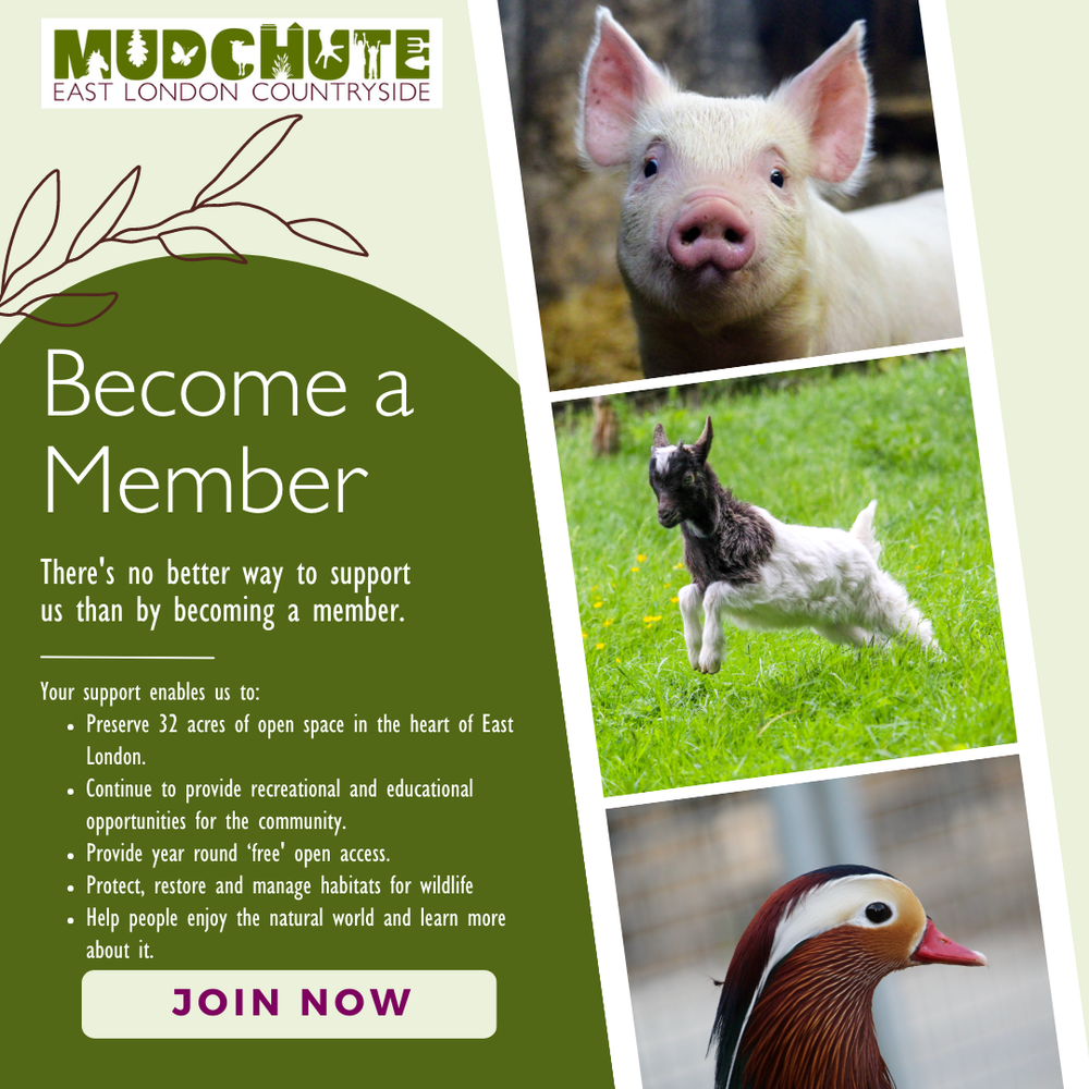 Become a Member of Mudchute Park & Farm | Mudchute Park and Farm