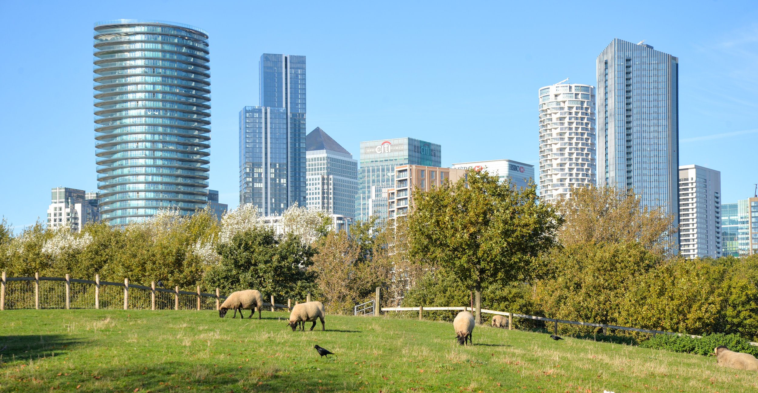 Plan Your Visit | Mudchute Park and Farm