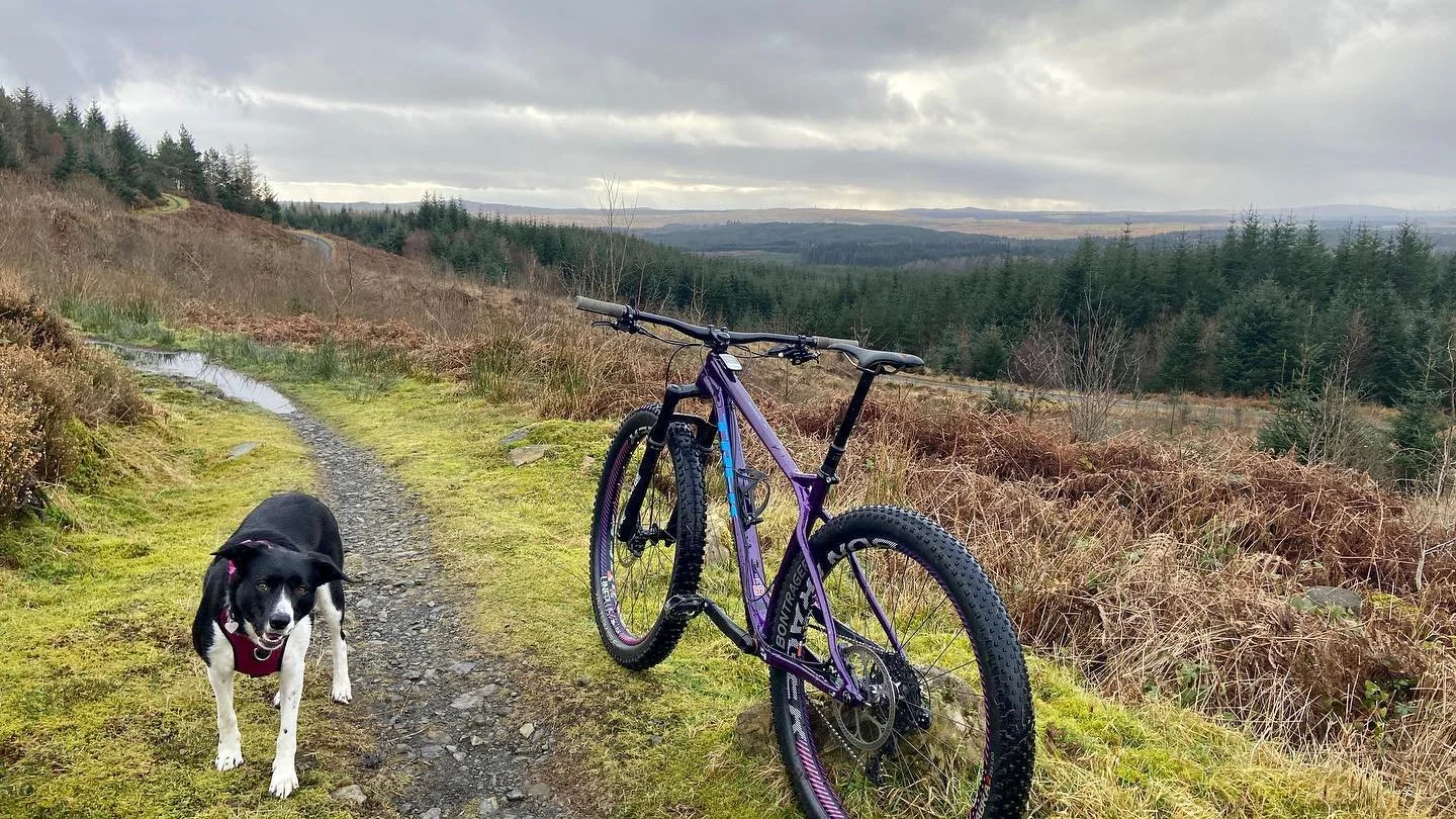 Glentrool Cycleworks — Glentrool Hive