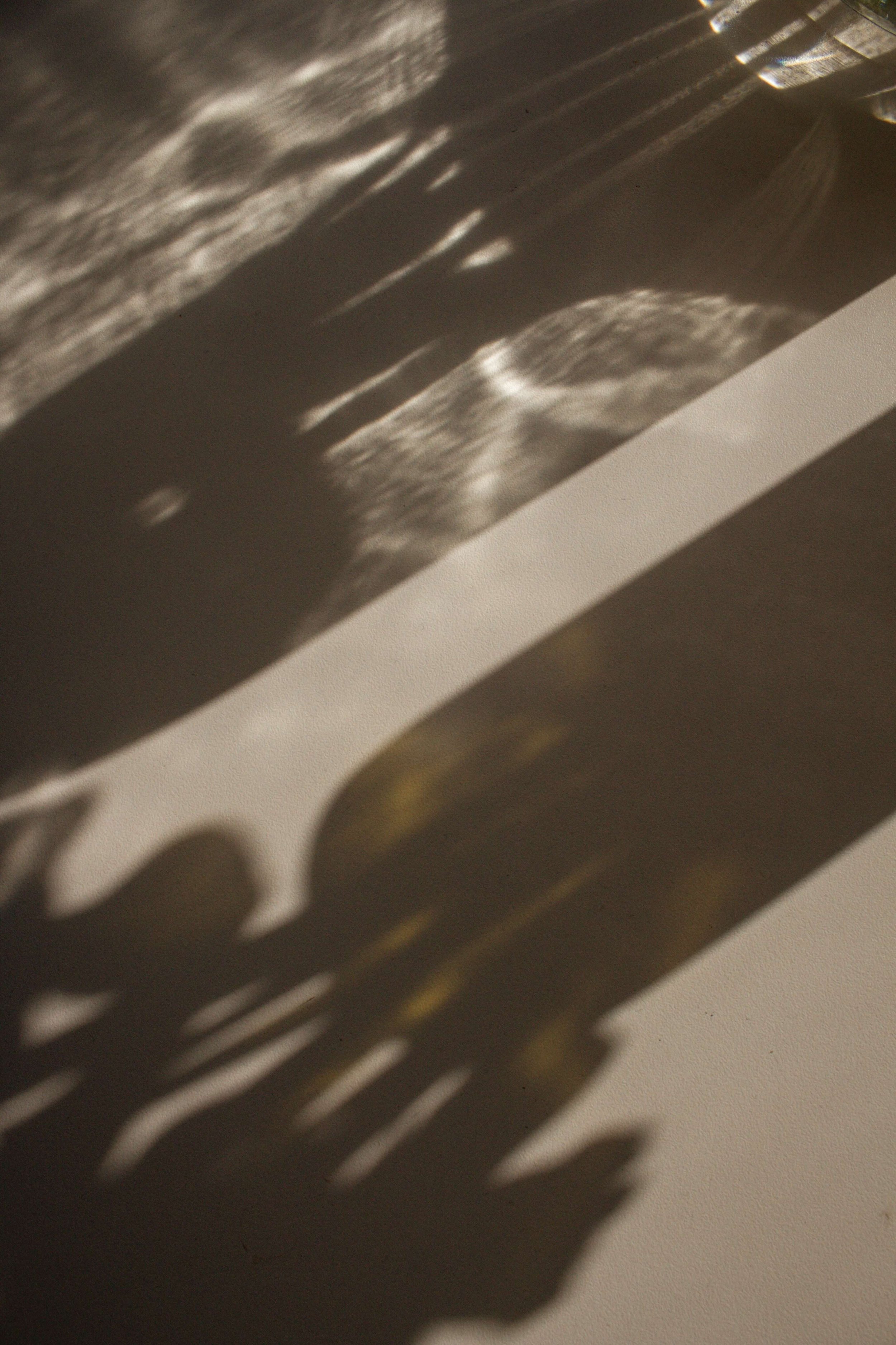 Cheyenne | Ohio Curl Specialist — Clean Curl Studio