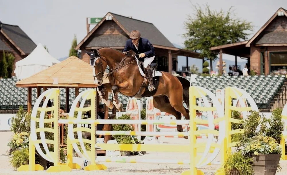 Request a Quote — Kay Walters - Equine Insurance