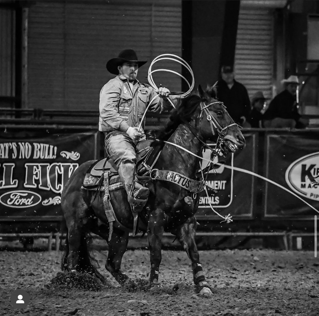 Testimonials — Kay Walters - Equine Insurance