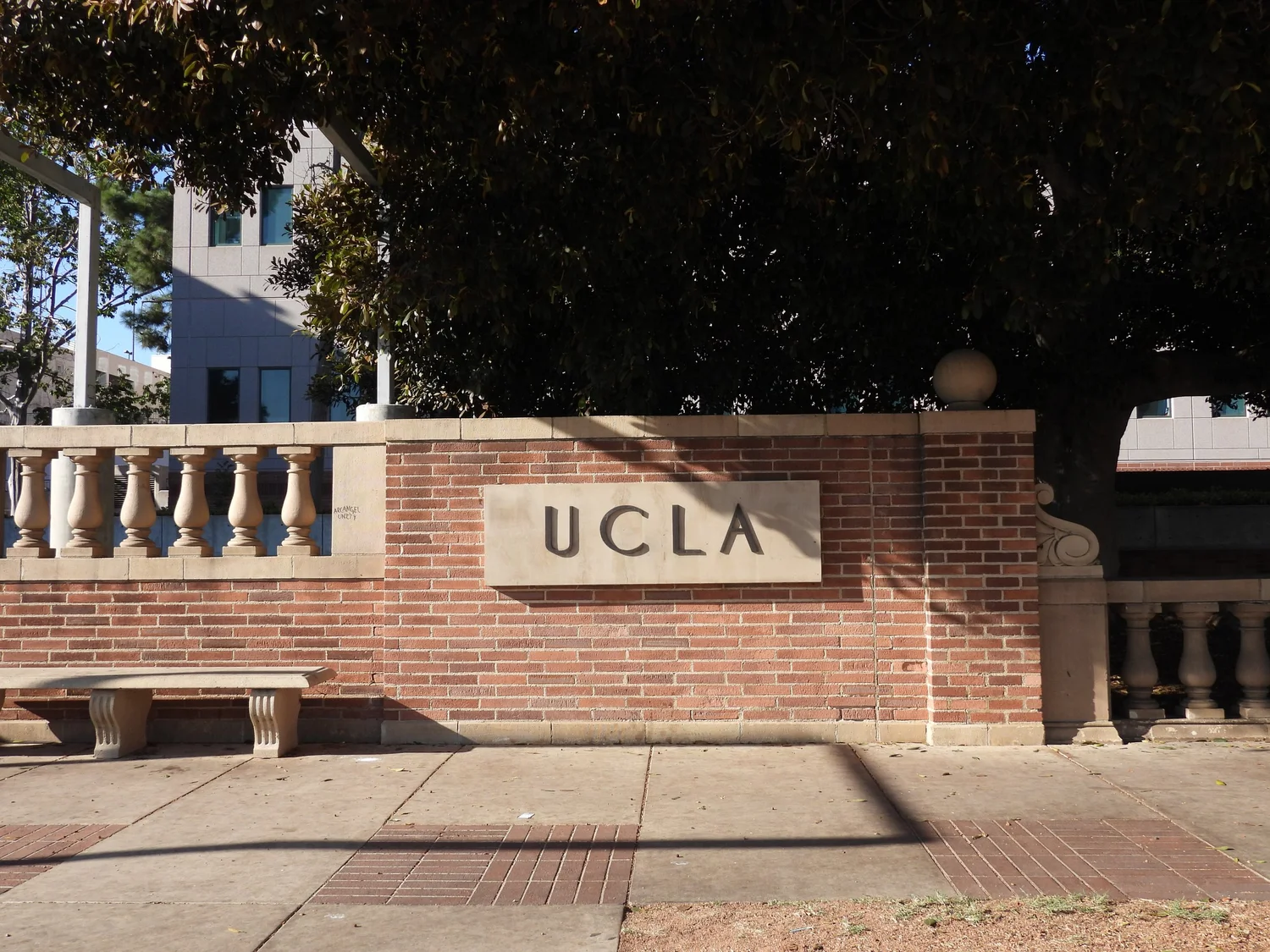 UCLA Activities — Planetary Health For Busy People