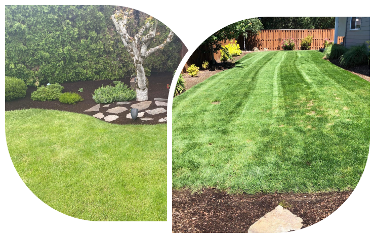 Jose's Lawn Services LLC in Salem, OR