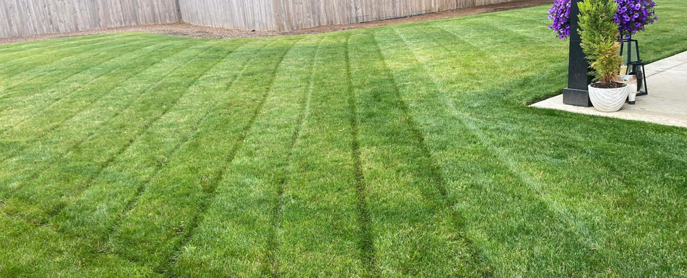 Jose's Lawn Services LLC in Salem, OR