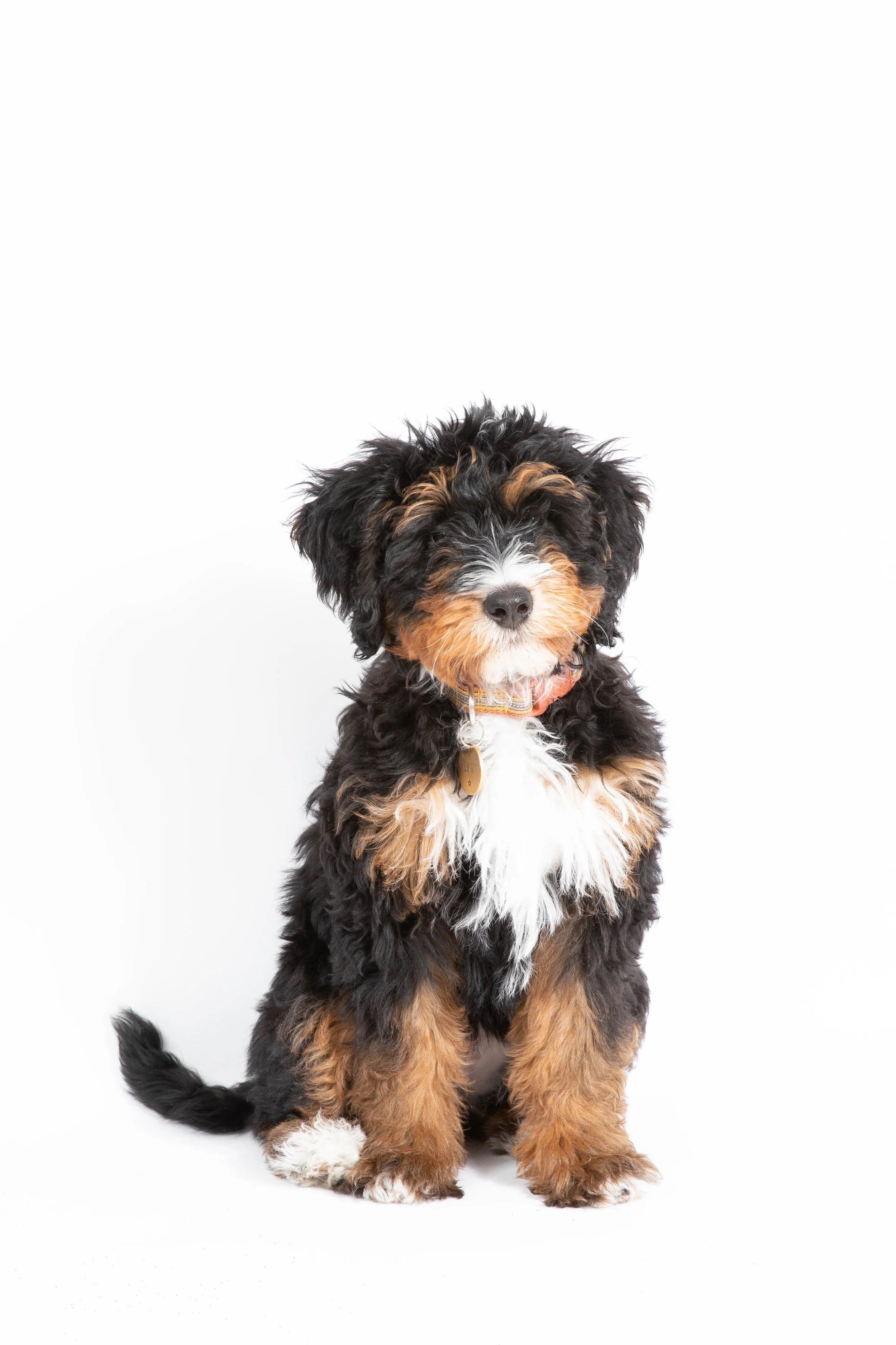 ABOUT US — Seacrest Development