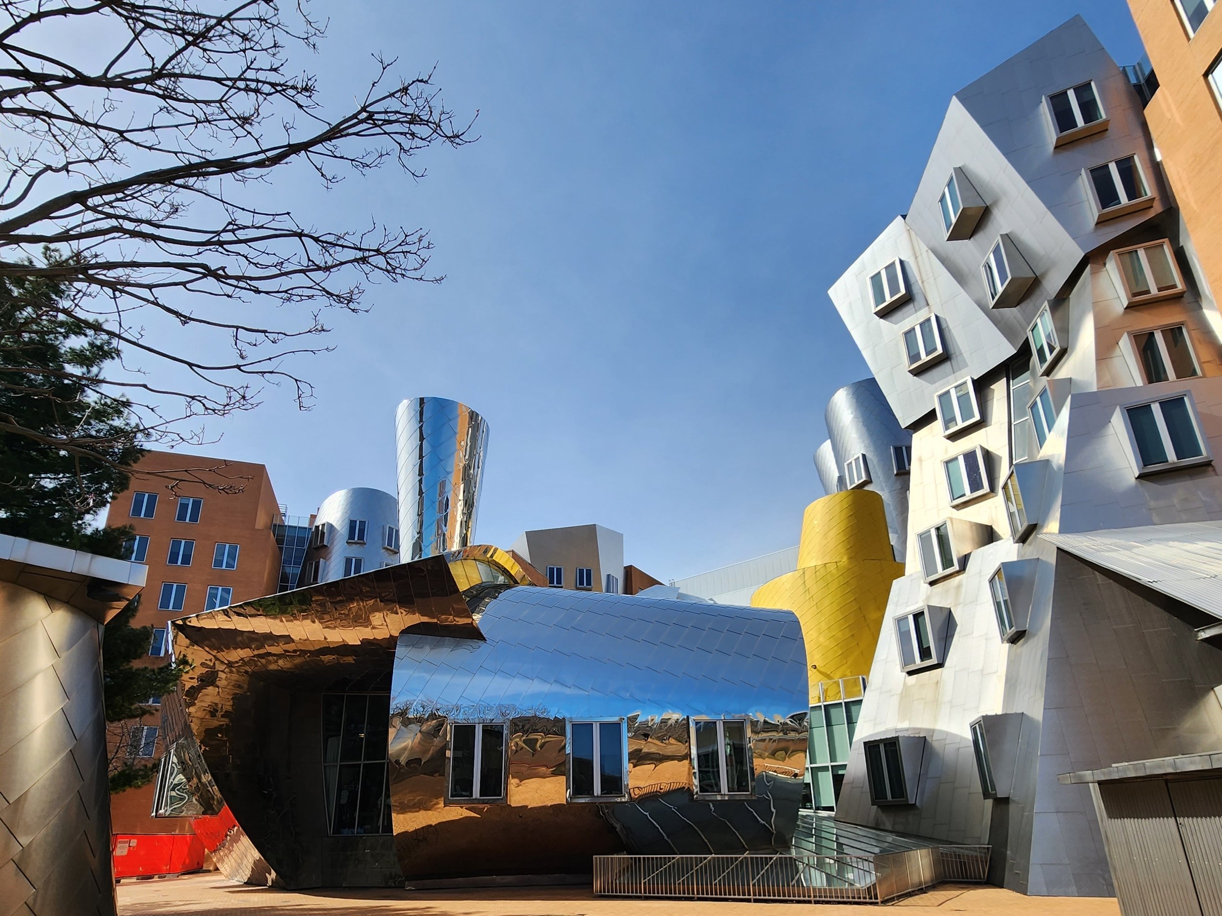 MIT & Harvard Walking Tour | Cambridge — Boston Hidden Gems