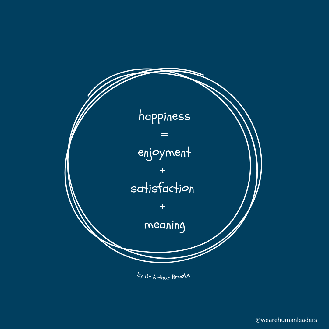 How do we find happiness? — Human Leaders