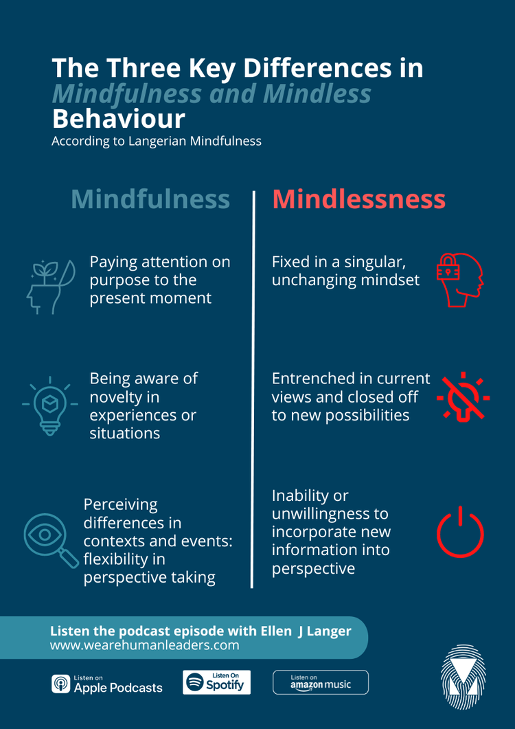 Mind-Body Unity: Exploring the Power of Mindfulness in Life and ...