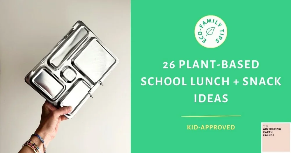 26 Plant-Based School Lunch and Snack Ideas — The Mothering Earth Project