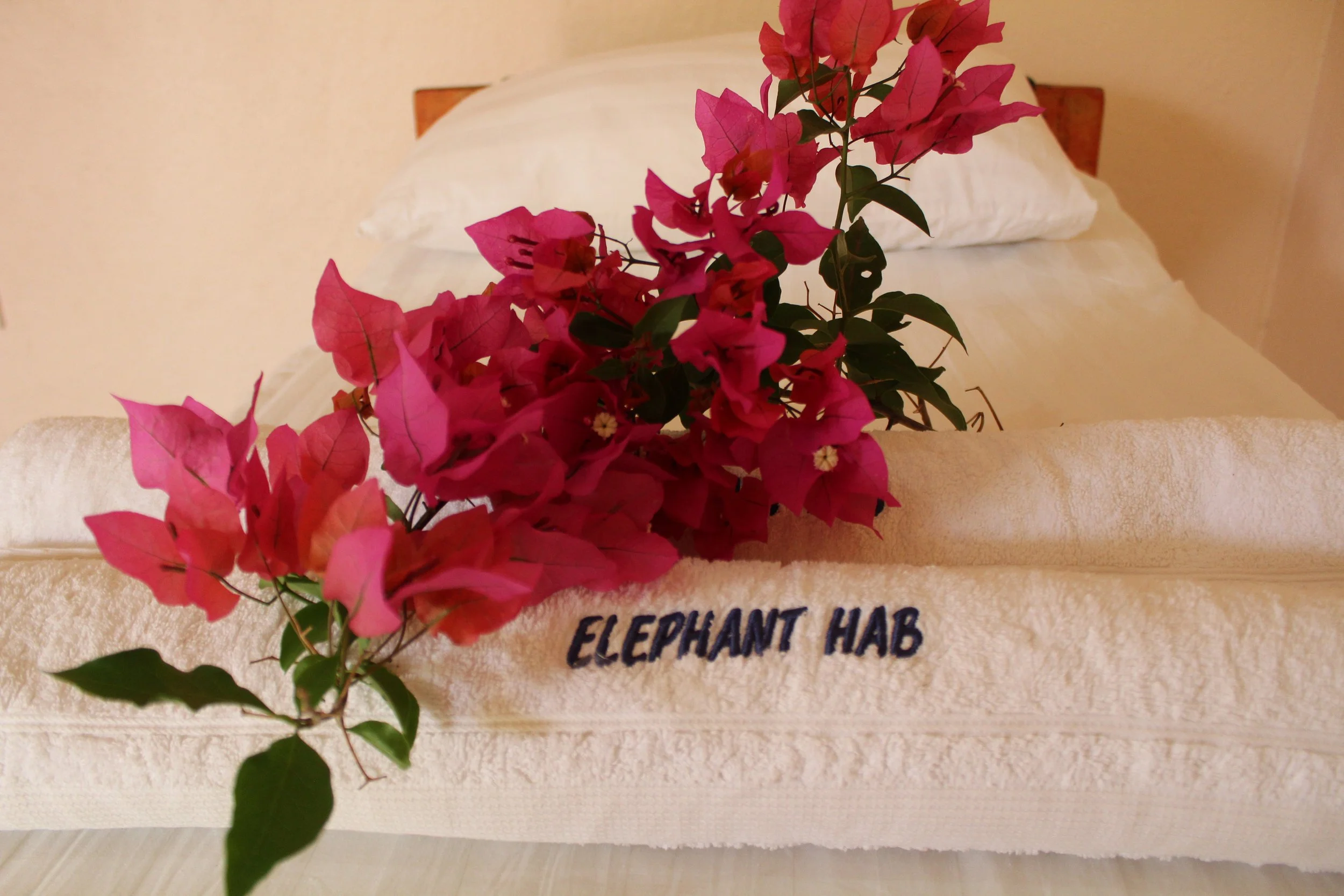 Our Facilities — Elephant Hab Lodge