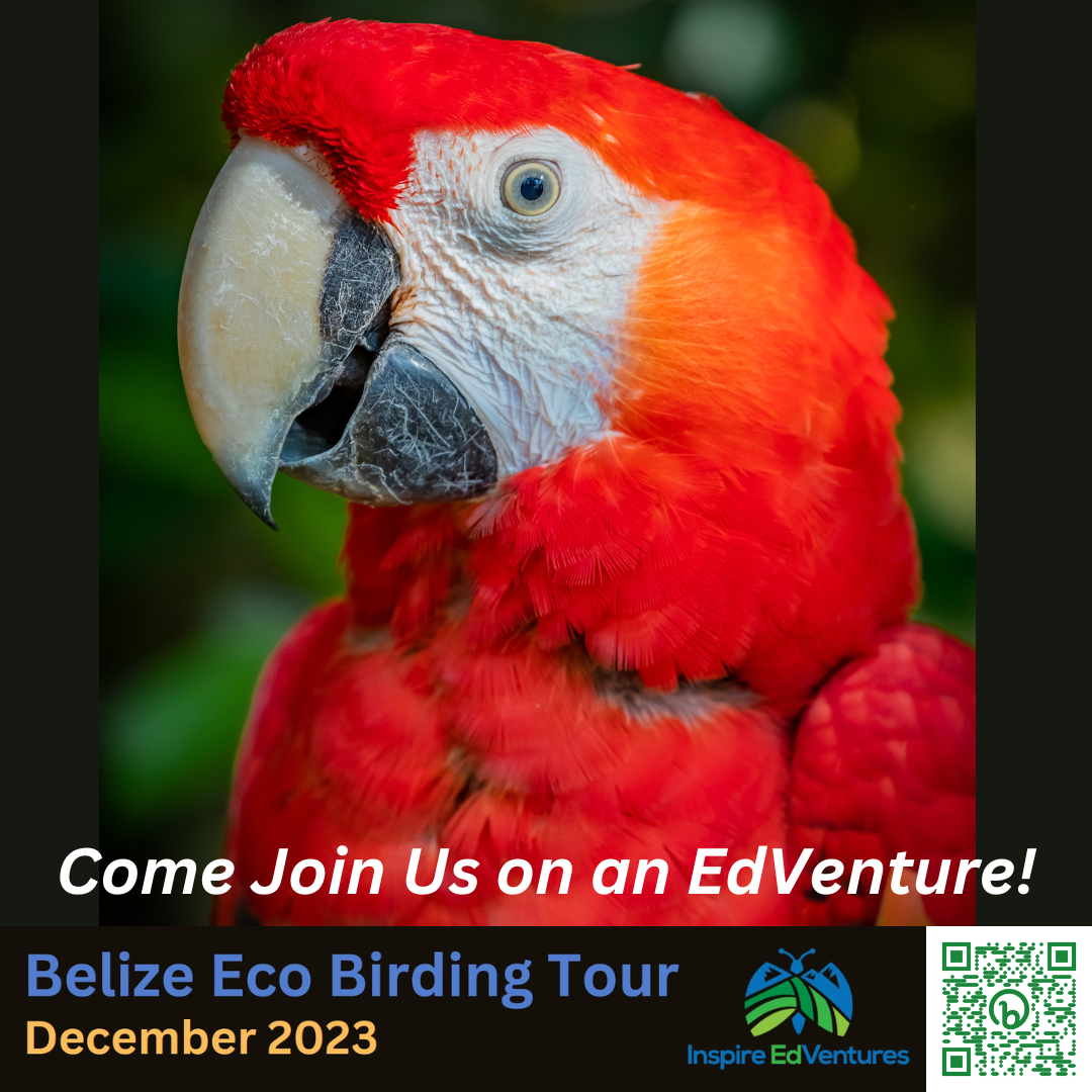 Birding in Belize! — Inspire EdVentures