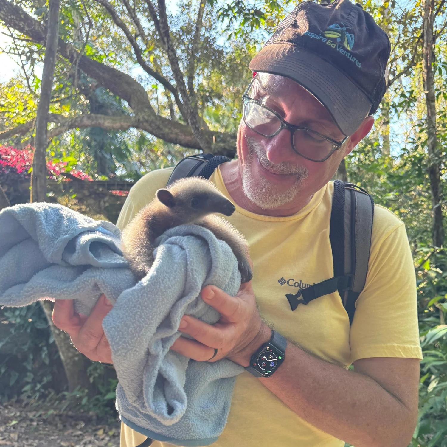 Science of the Northern Tamandua — Inspire EdVentures