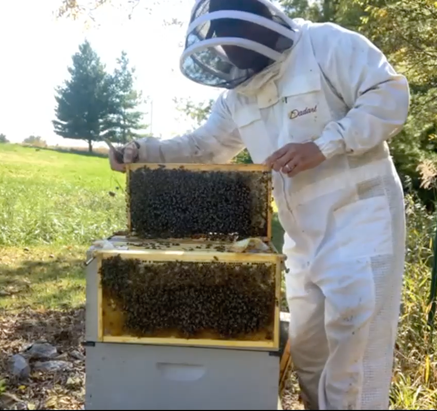 Virtual tours and Belize EdVentures — Inspire EdVentures