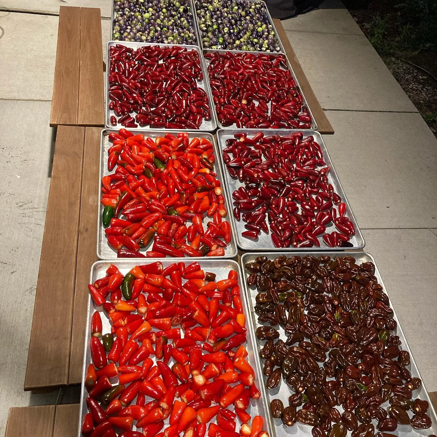 Off Type Sauce & Spice