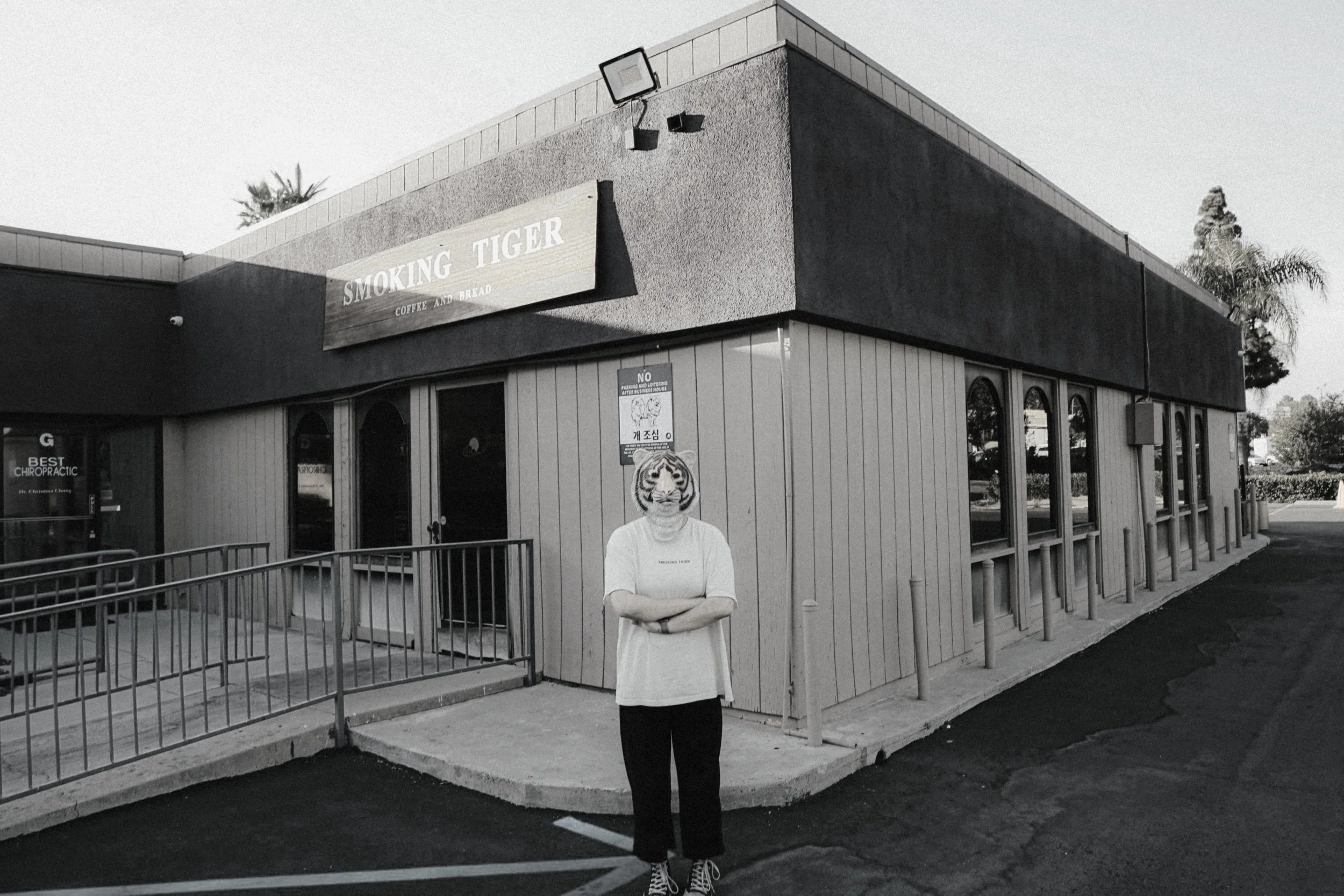 General 6 — Smoking Tiger