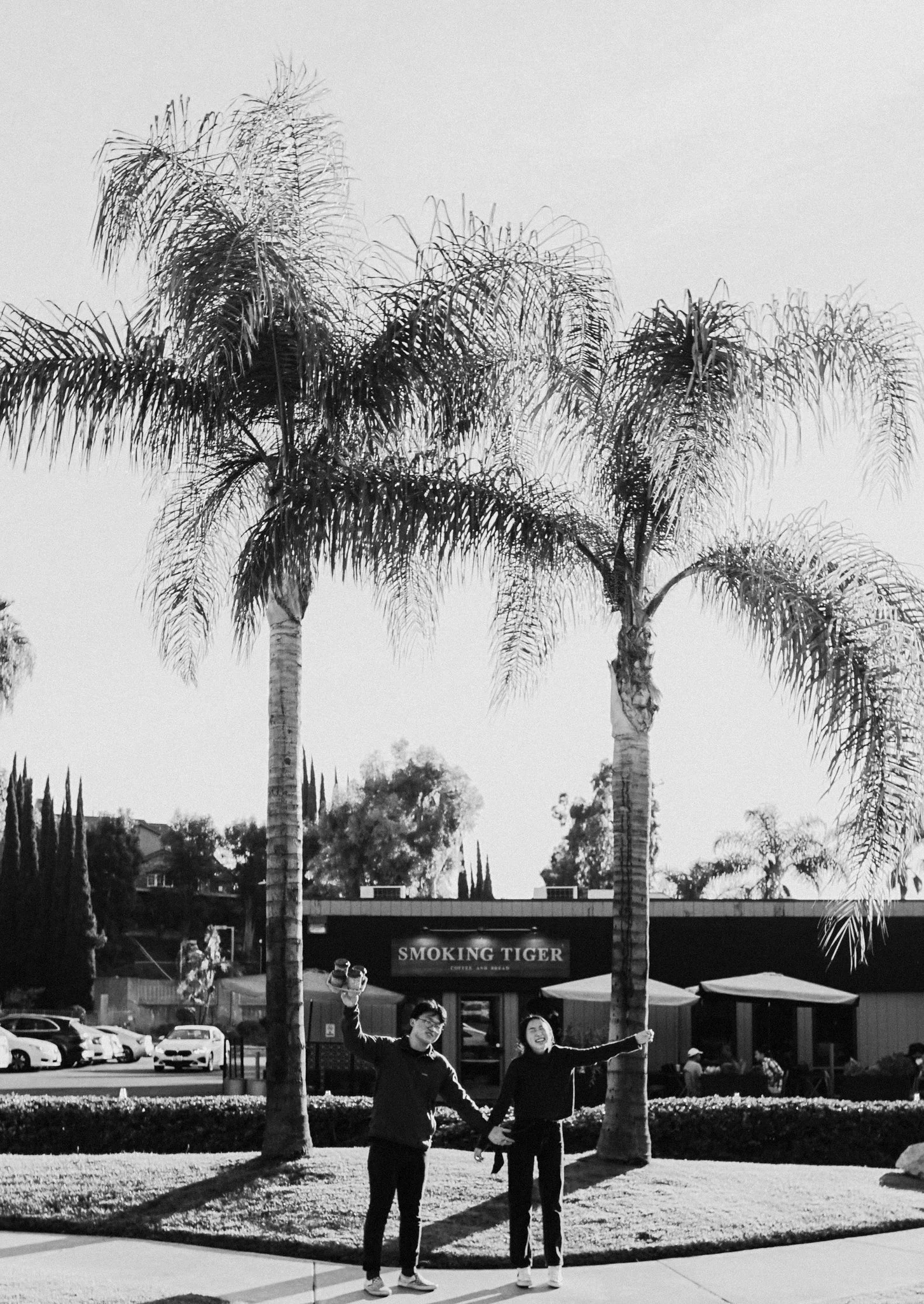 About — Smoking Tiger