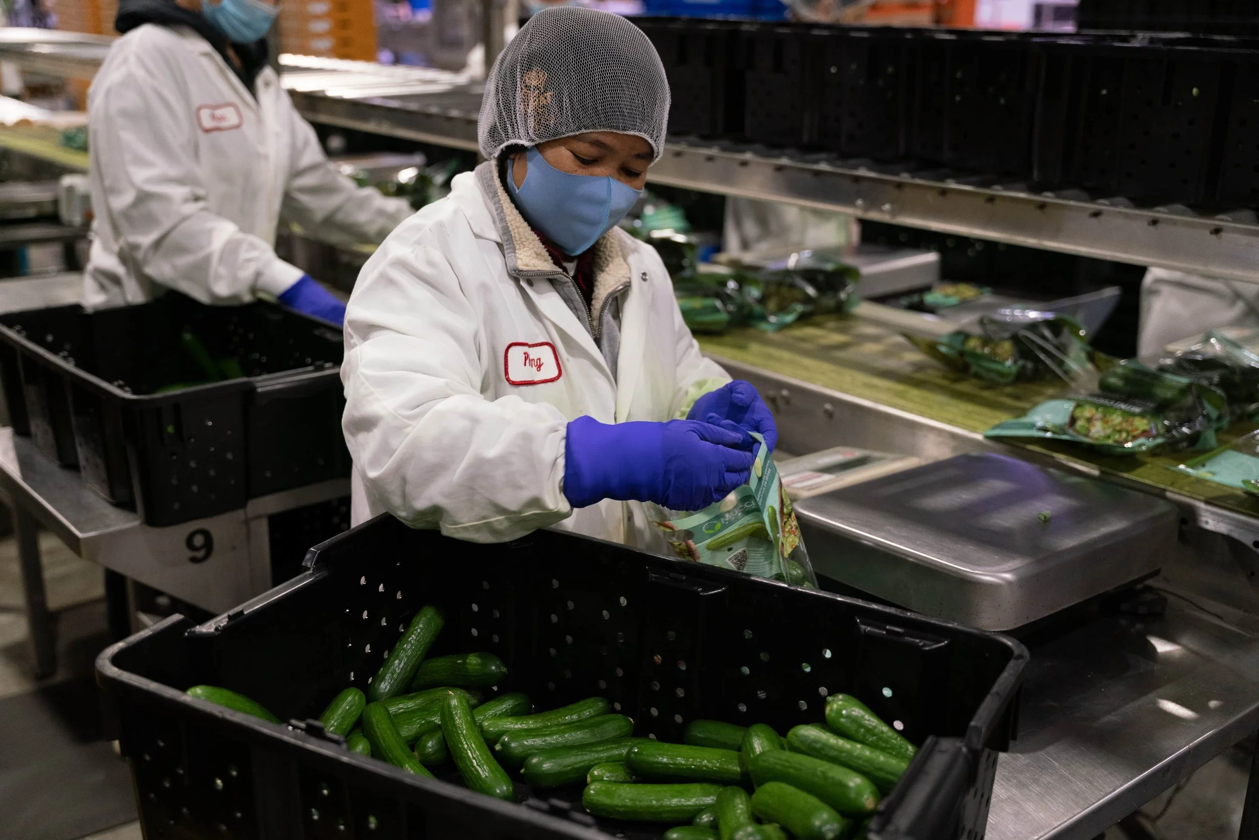 Foreign Worker Health Insurance Canada - FWCHP