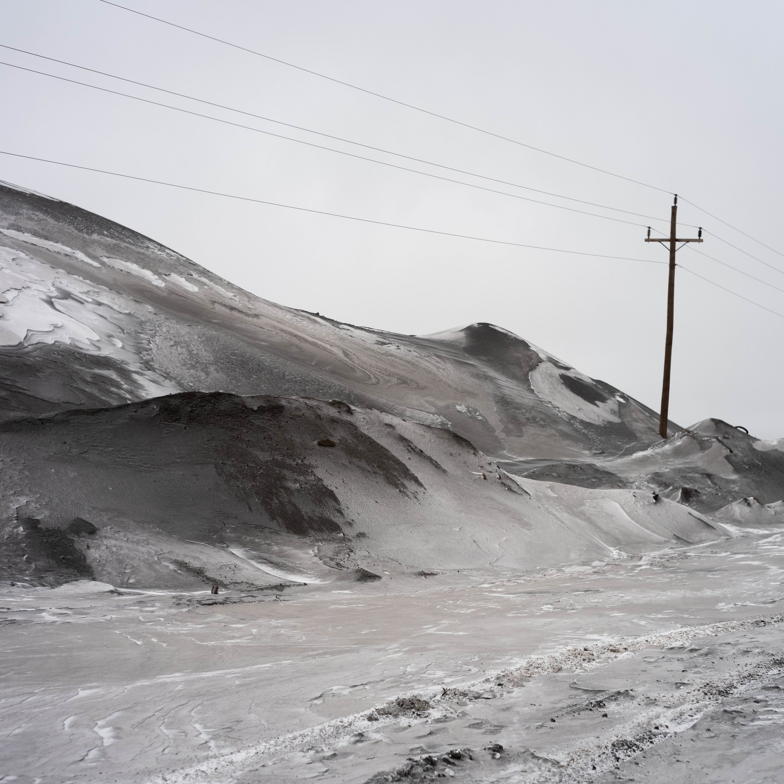 Tanea Hynes - Artist