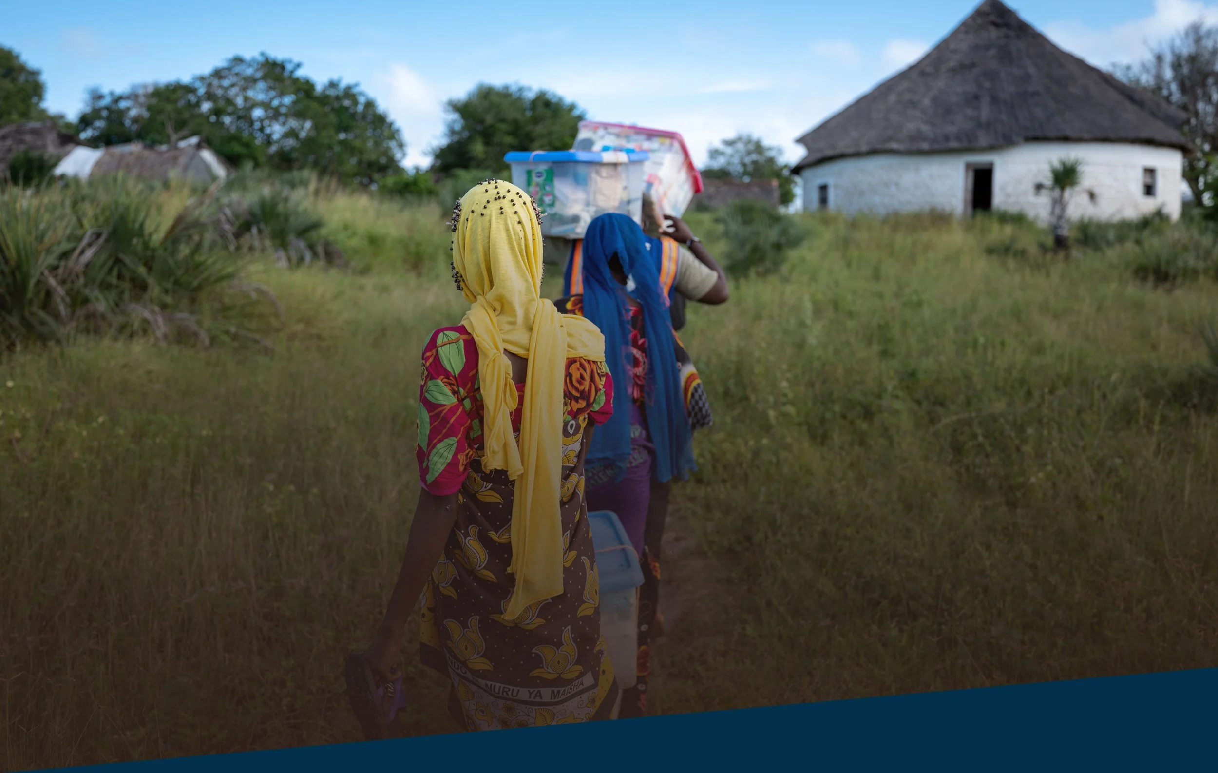 Dovetail Impact Foundation