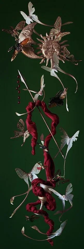 Ad Altiora Tendo (2022-) — Tara Sellios