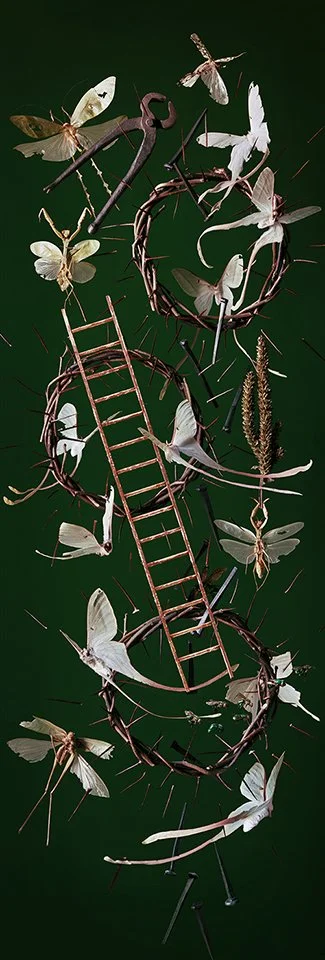 Ad Altiora Tendo (2022-) — Tara Sellios