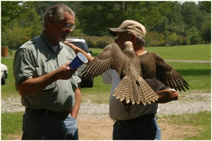Home — North Carolina Falconers Guild