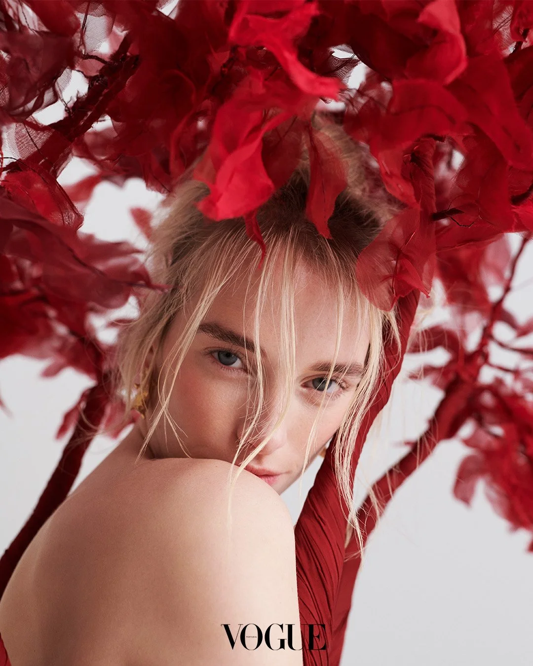 Olivia Bossert Photography