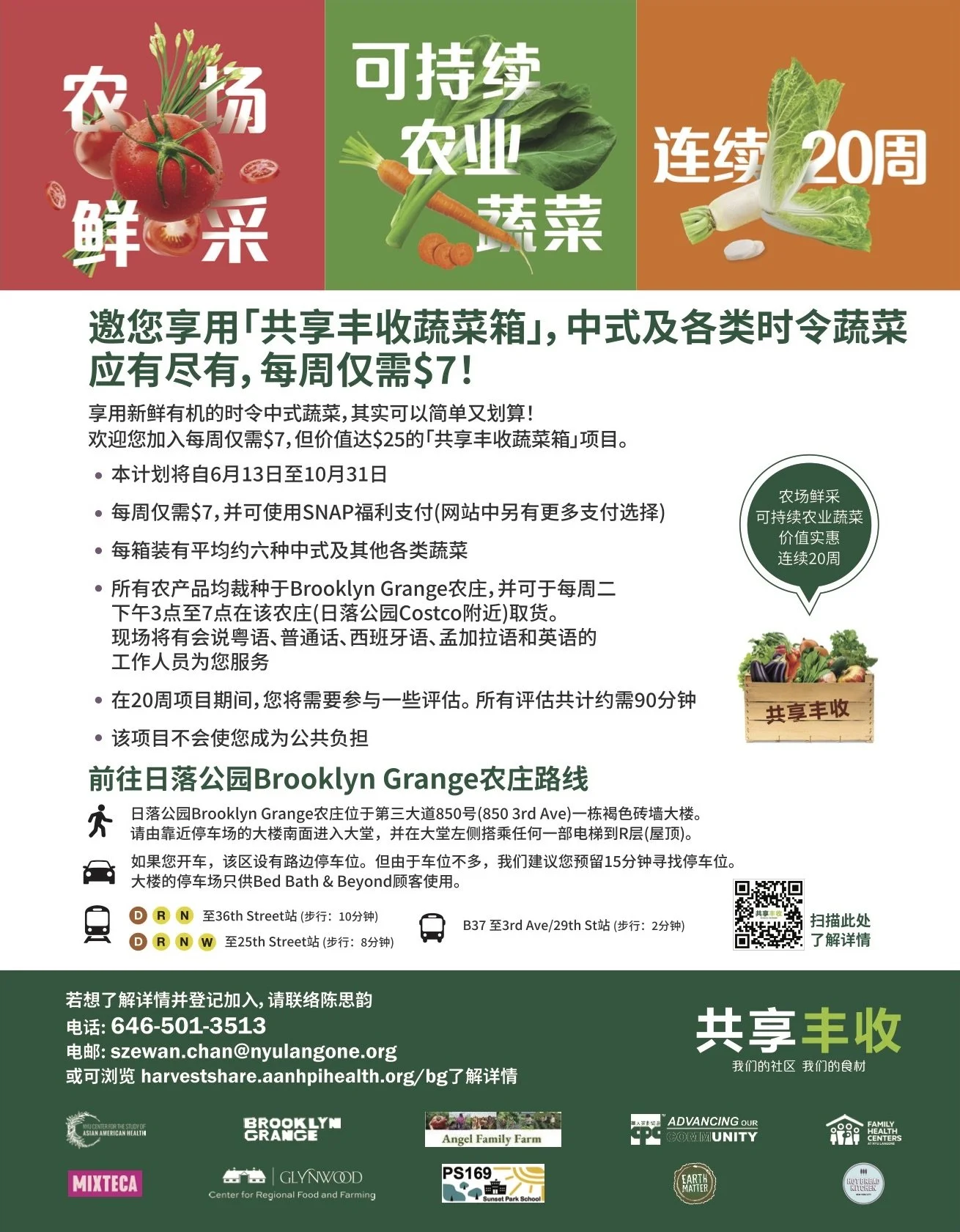 PS 169 Sunset Park School