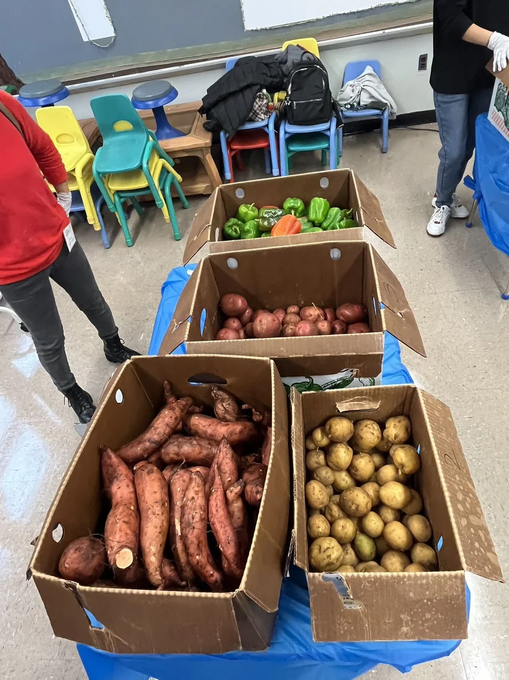 PS 169 Sunset Park School