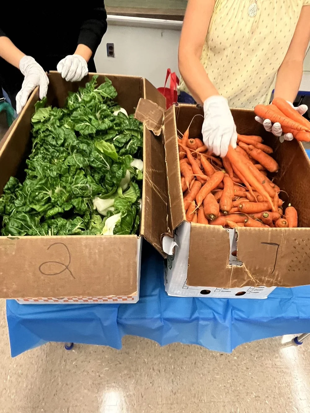 PS 169 Sunset Park School