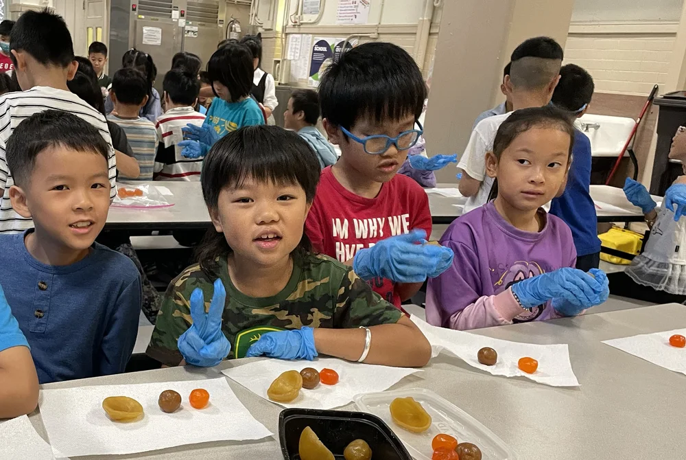 PS 169 Sunset Park School