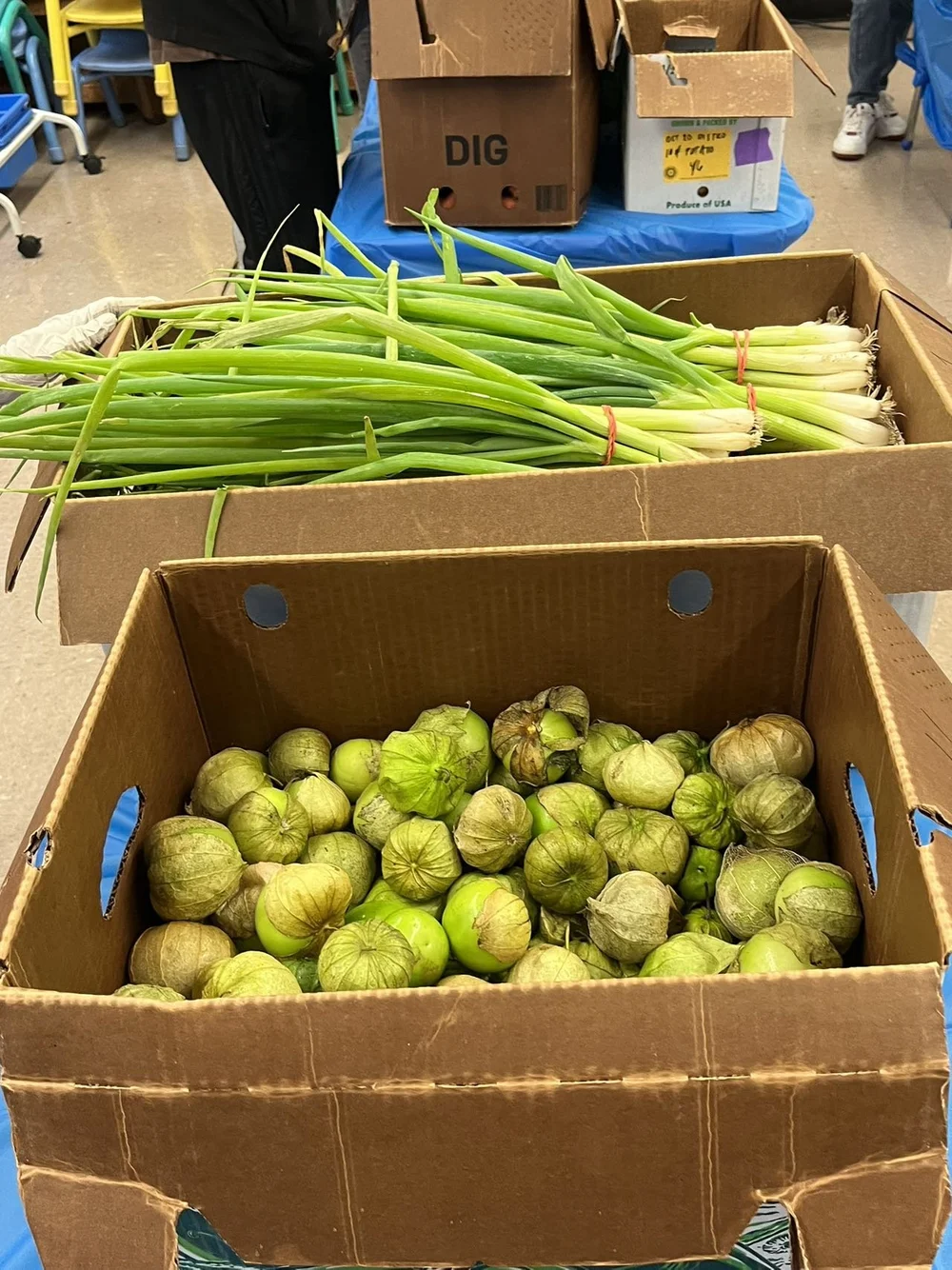 PS 169 Sunset Park School