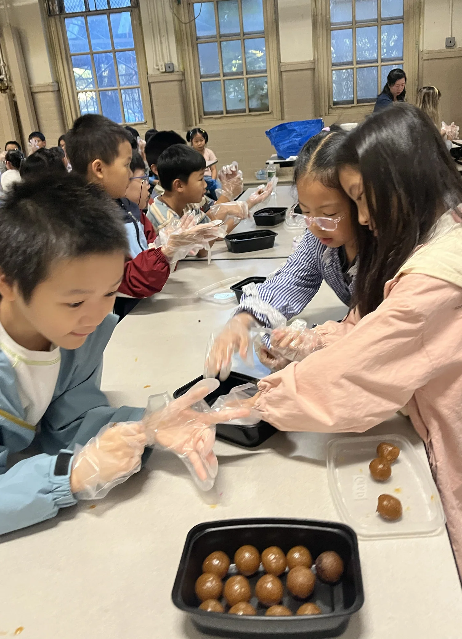 PS 169 Sunset Park School