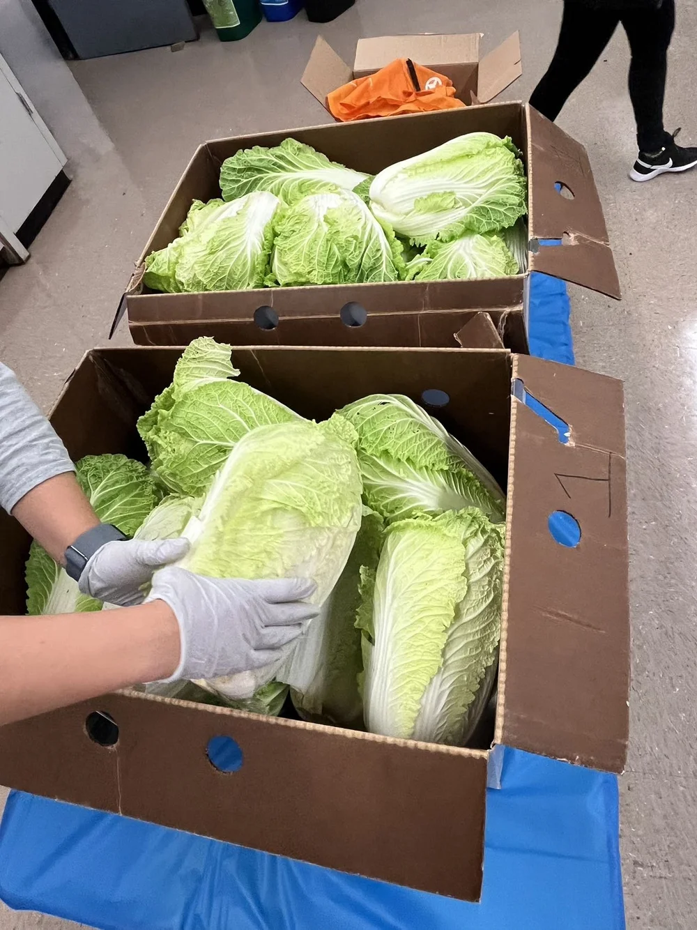 PS 169 Sunset Park School