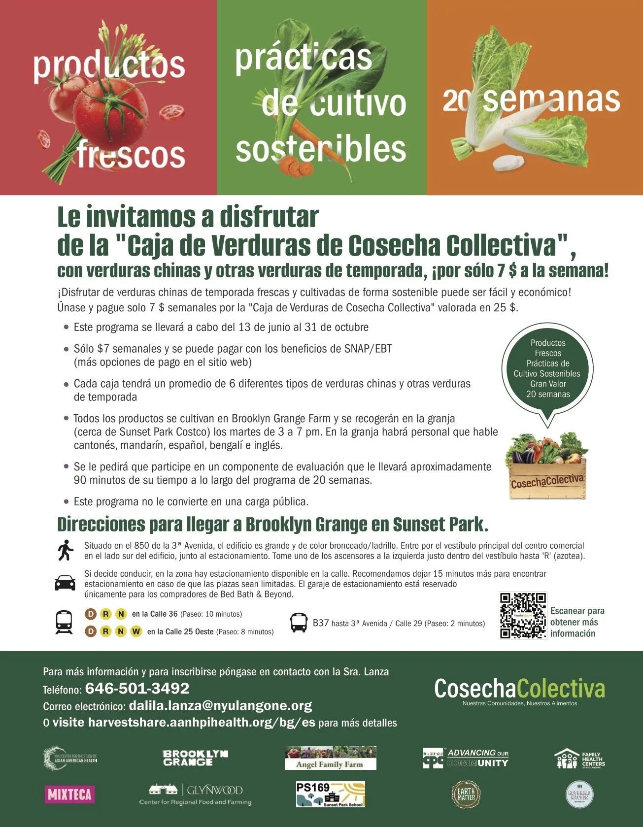 PS 169 Sunset Park School