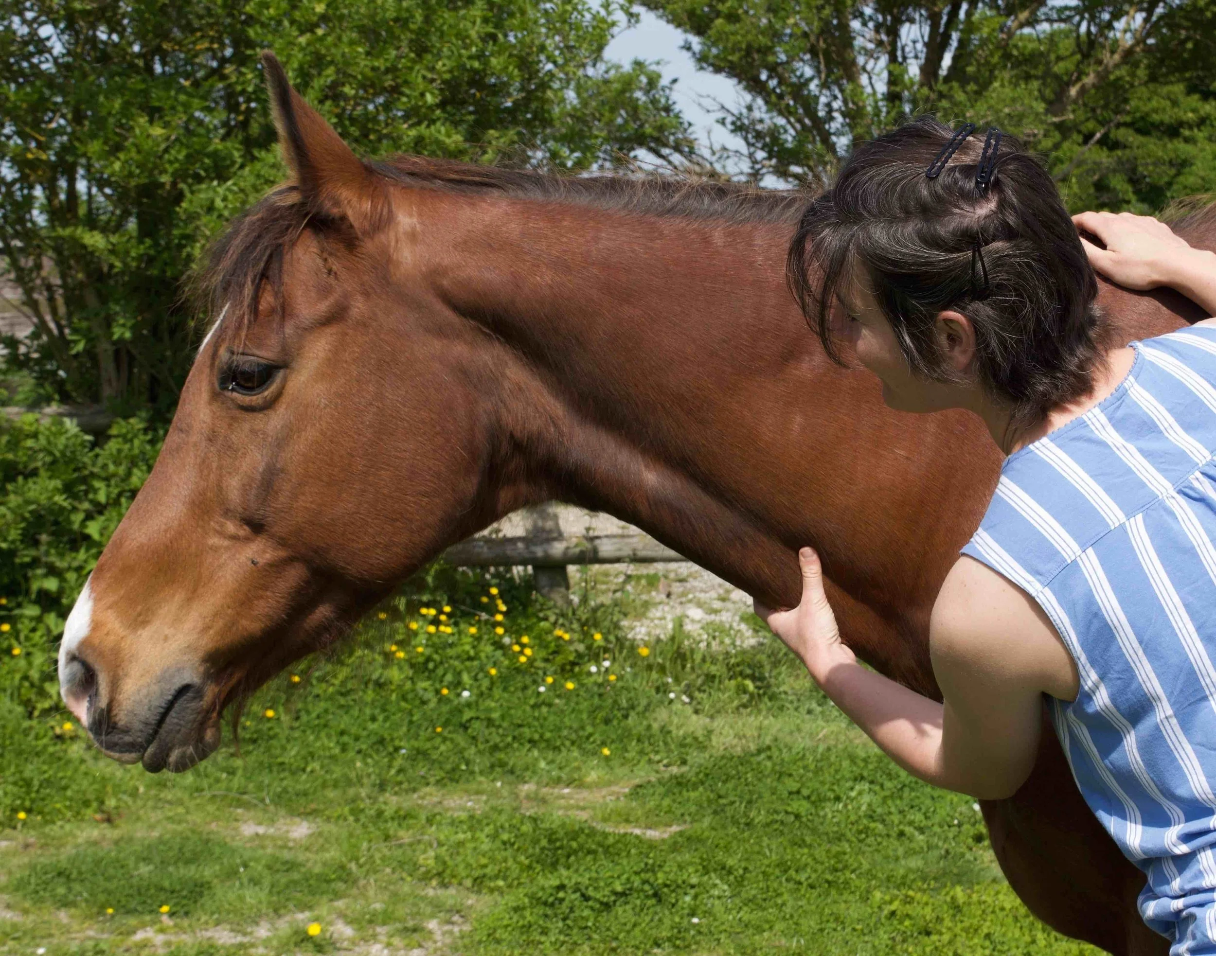 Nurturing Nature Equine