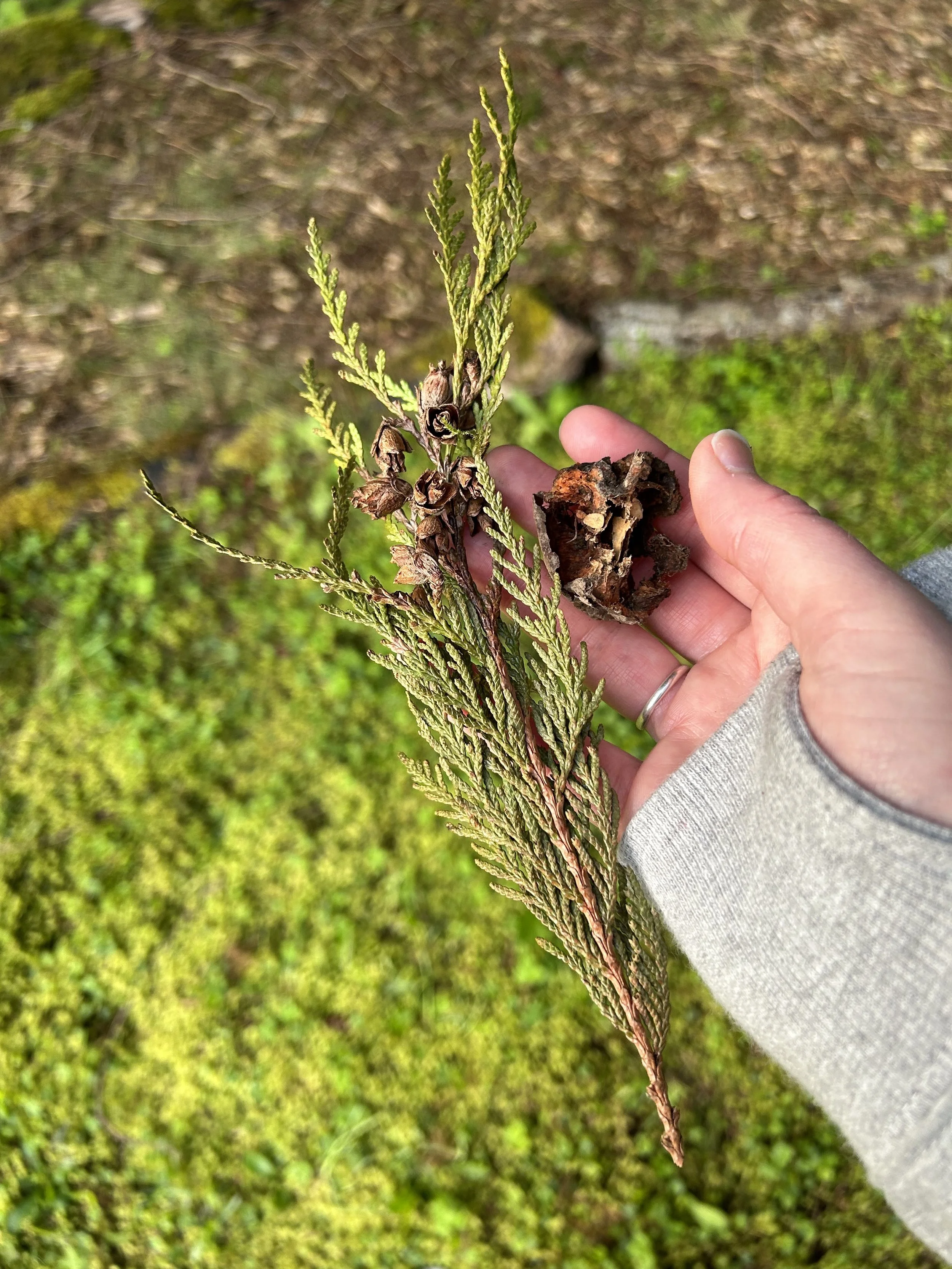 Threshold Process — Threshold Process