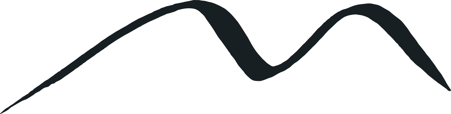 FAQ — Mavericks Montauk