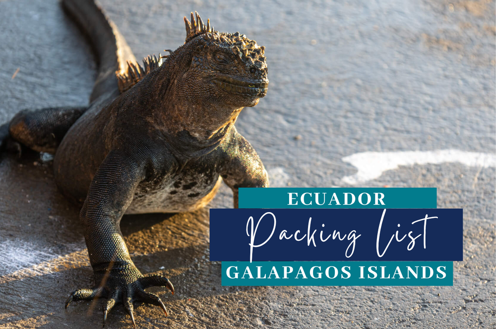 What to Pack for the Galapagos Islands — Live it up with Lacey