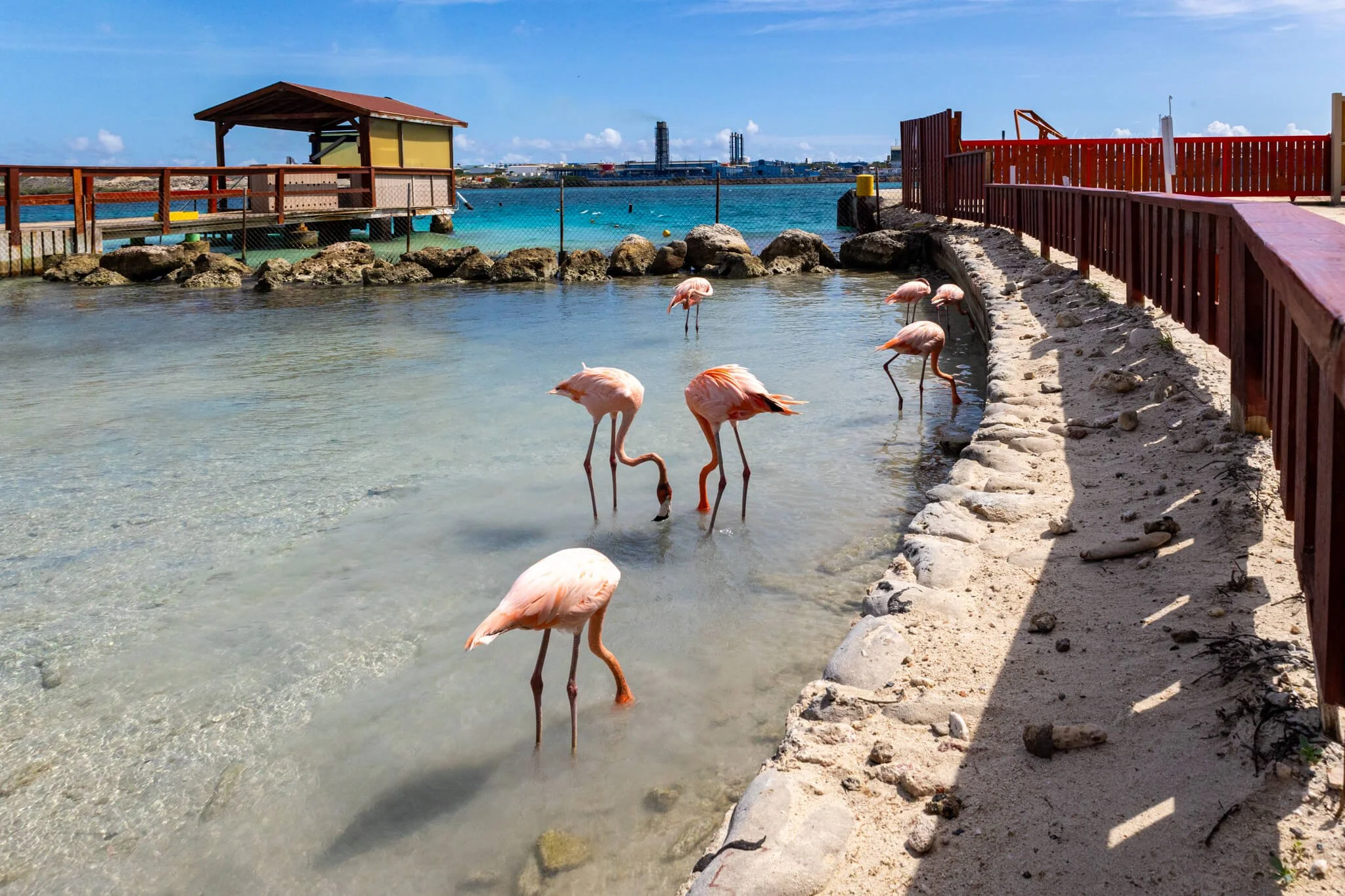 Visiting Aruba: 4 Day Aruba Itinerary for Fun in the Sun — Live it up ...