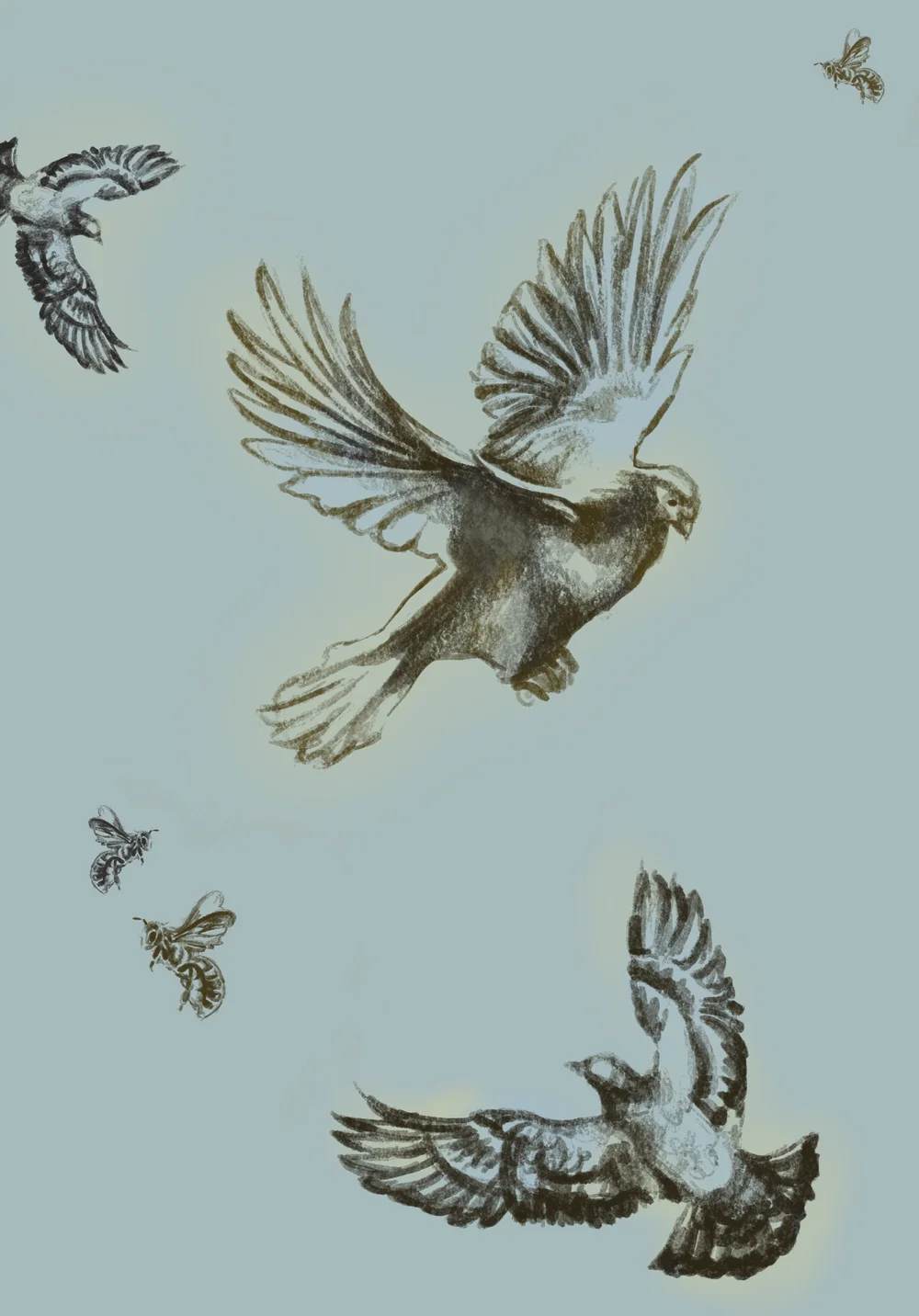 The Birds, the Bees, and Being Embarrassed — MUSE Magazine