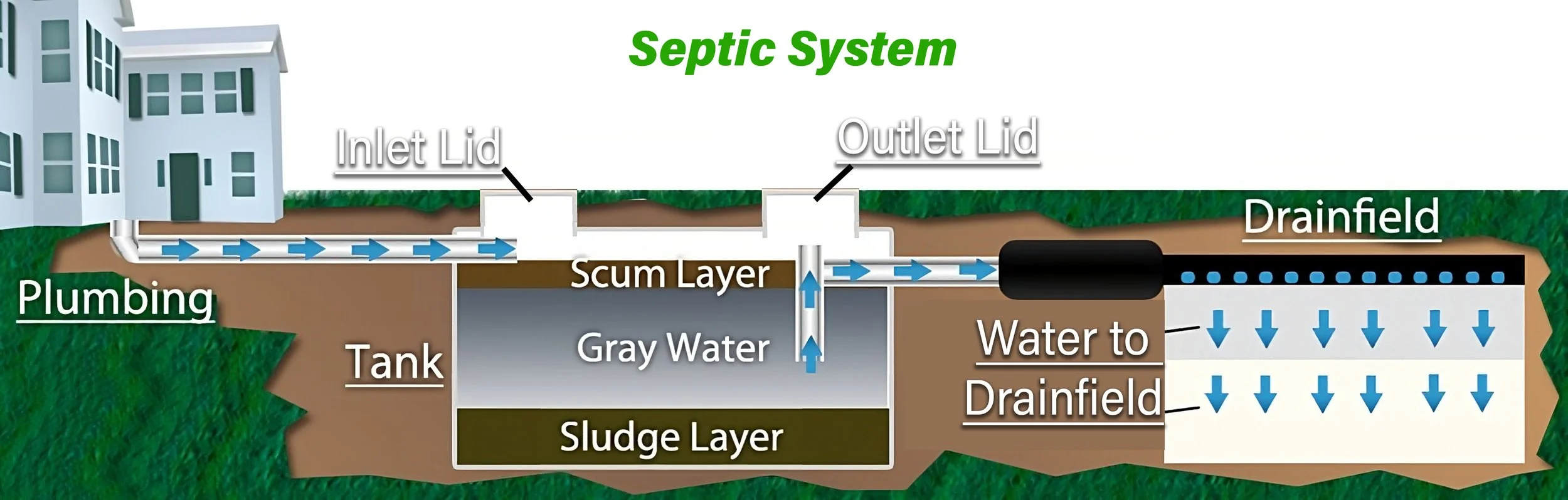 What is a Septic Tank and How Does it Work? — Alligator Septic