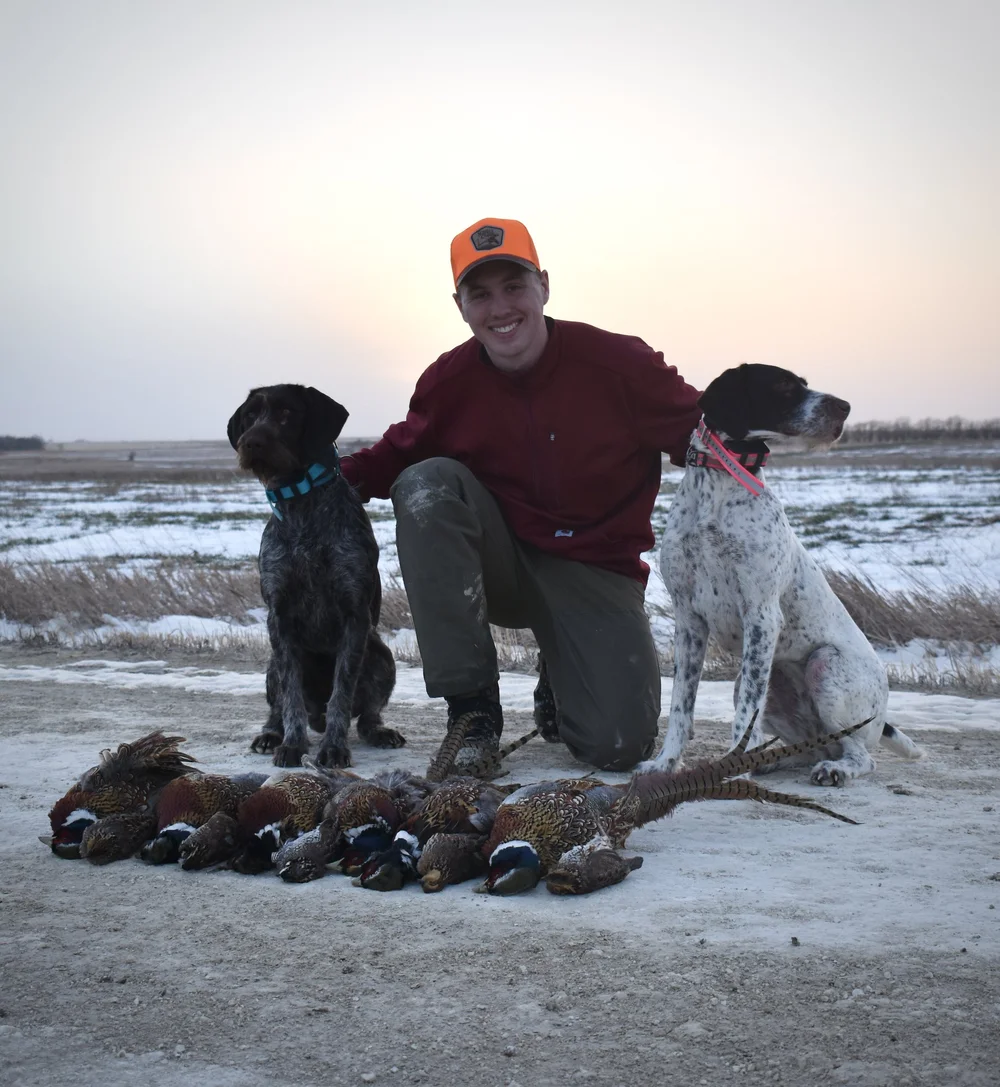 Badlands Kennel German Wirehaired Pointers