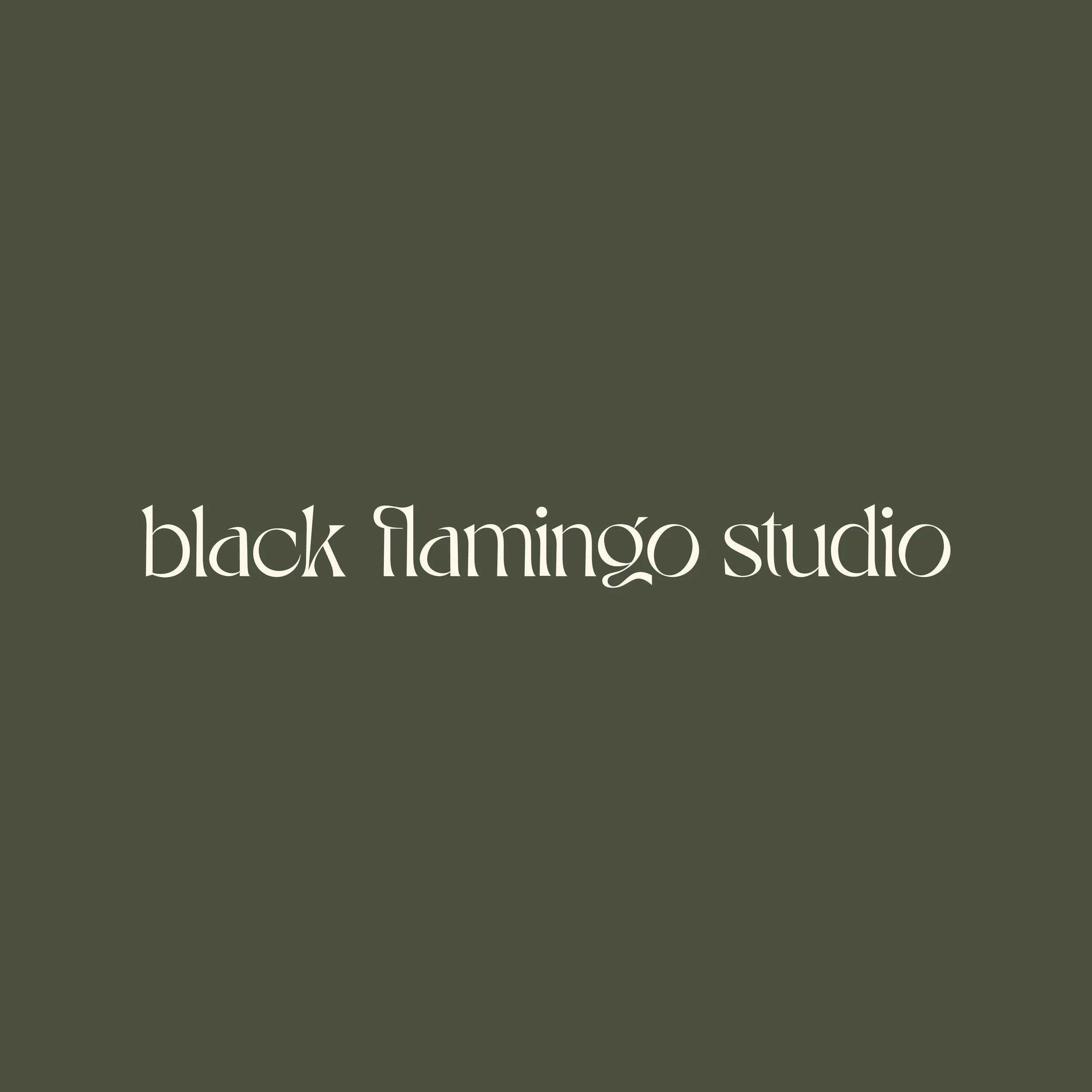 Meet the Team — Black Flamingo Studio