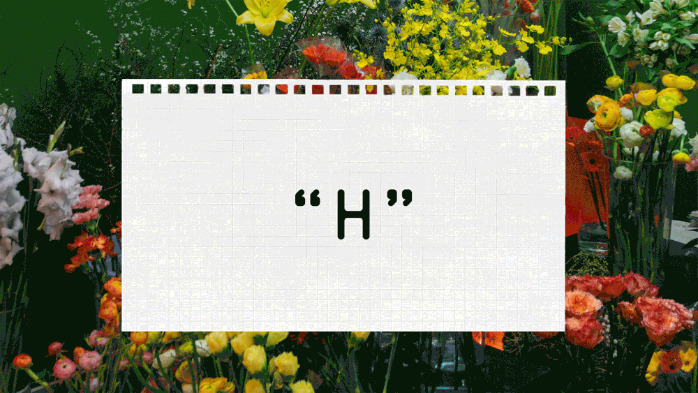 HipHub — Hai&Ikigai