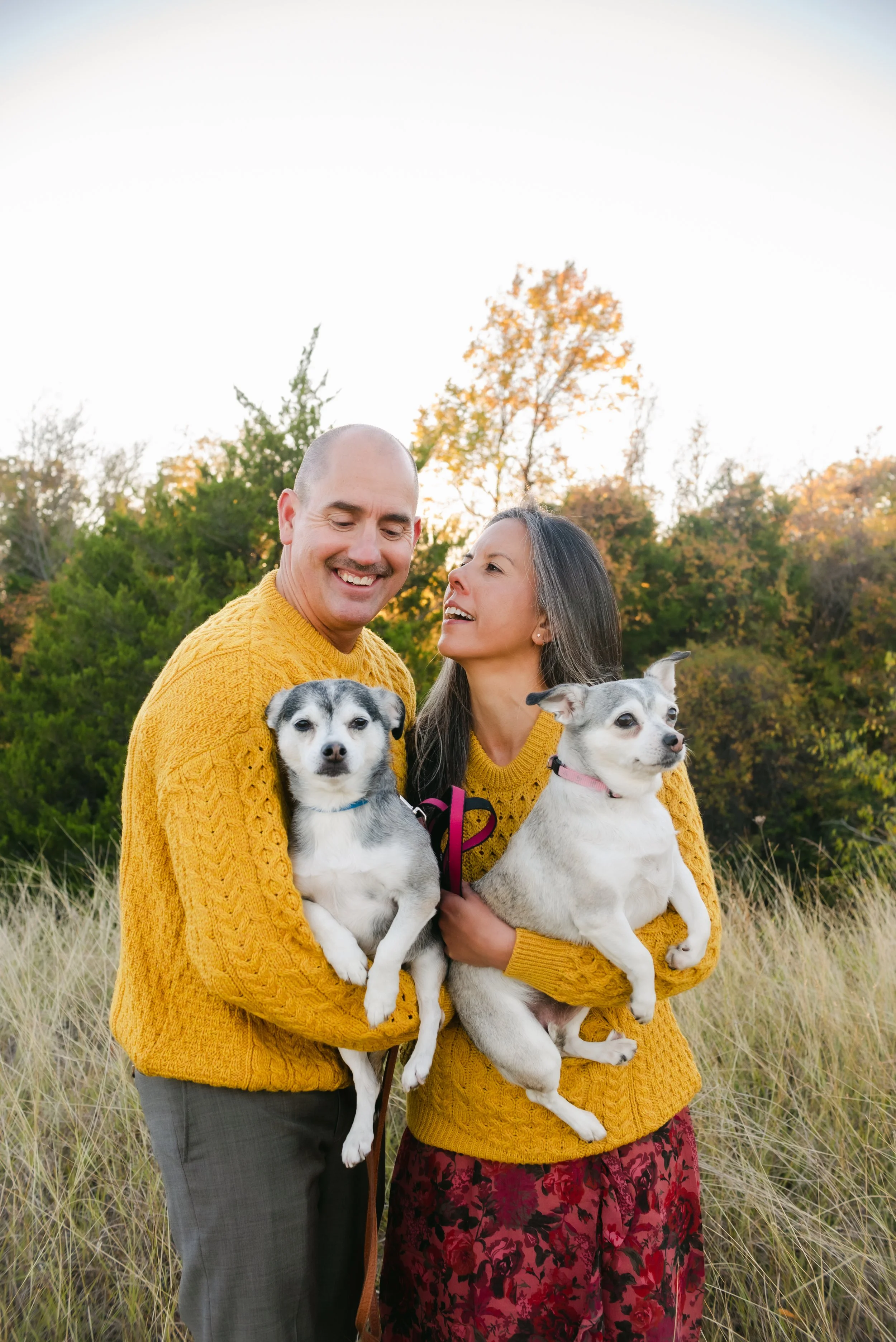 Everything You Need To Know Before Bringing Your Dog To A Photoshoot ...