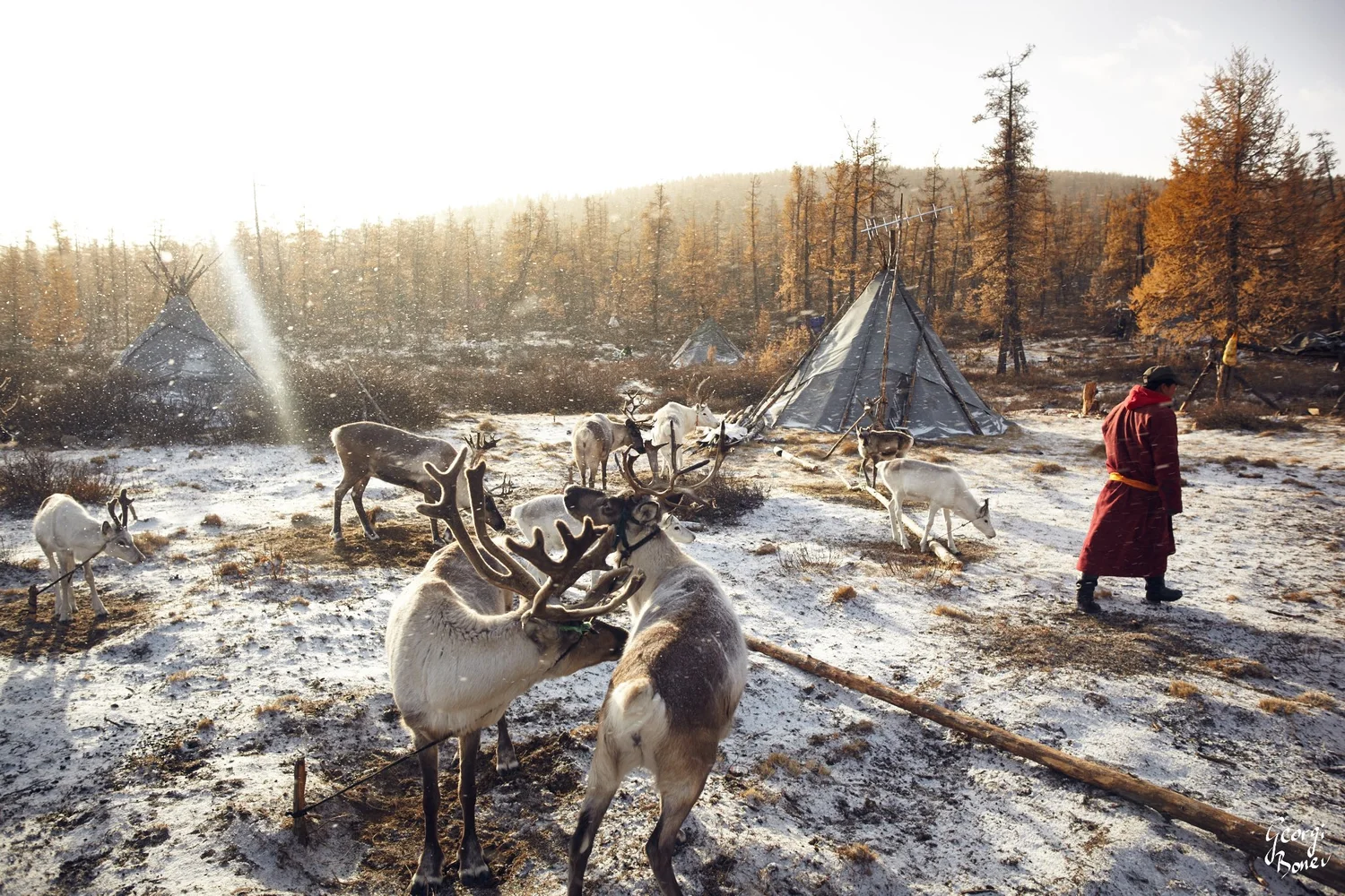 Tsaatan People — Georgi Bonev