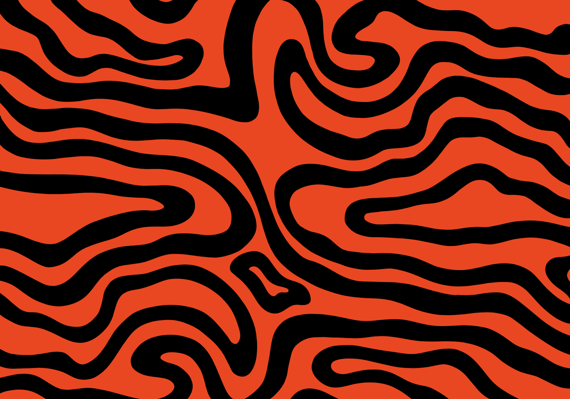 About us | CSP STUDIO