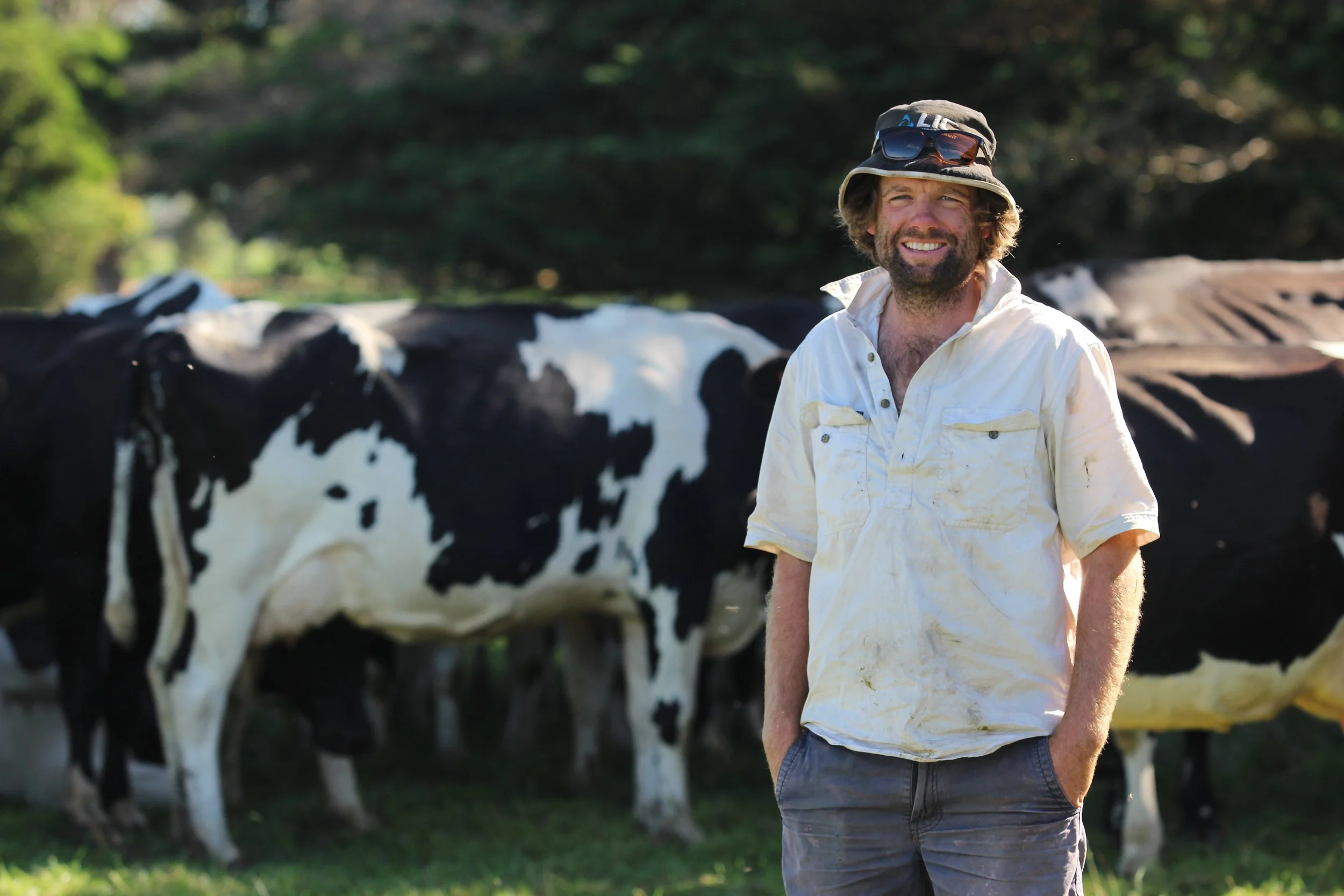 Hay Guard is “Cheap Insurance” — Hay Guard Australia